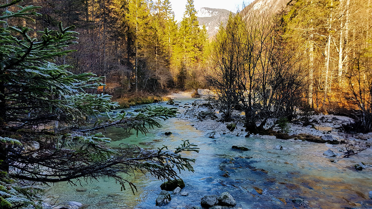 Wanderparadies Slowenien: Bohinjer See und Voje-Tal - Linie 5