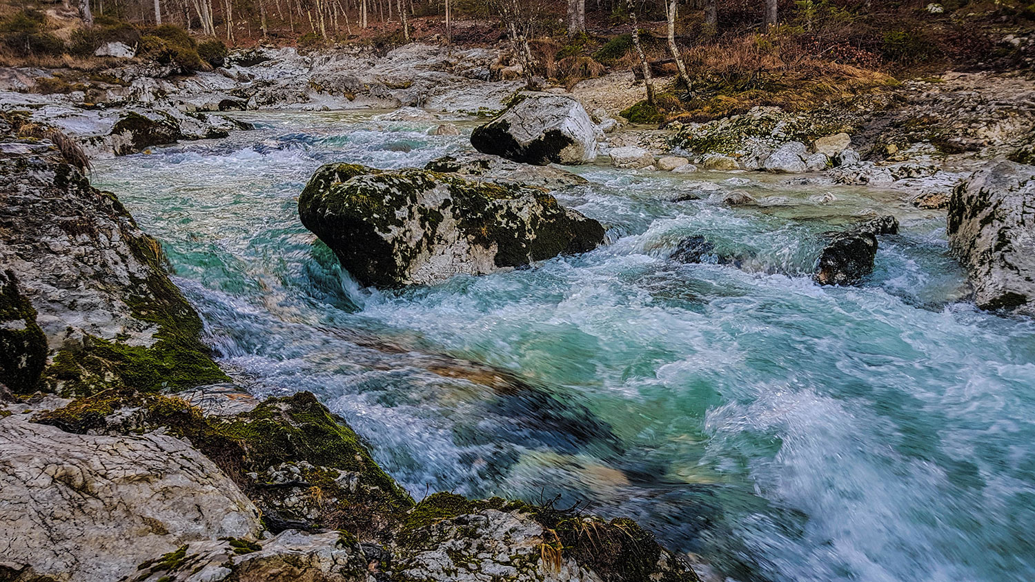 Wanderparadies Slowenien: Bohinjer See und Voje-Tal - Linie 5