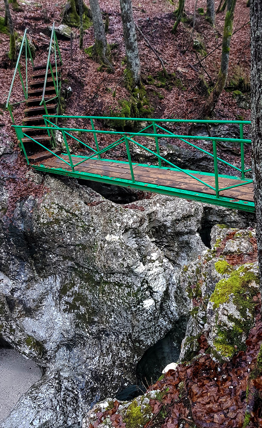 Wanderparadies Slowenien: Bohinjer See und Voje-Tal - Linie 5